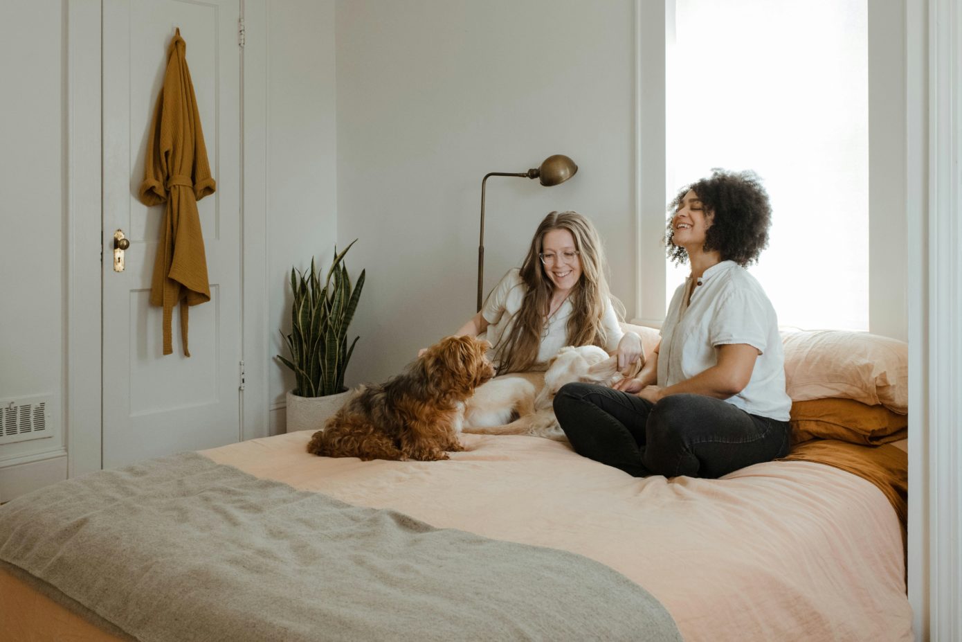 Living together - what are your rights? | Maguire Family Law