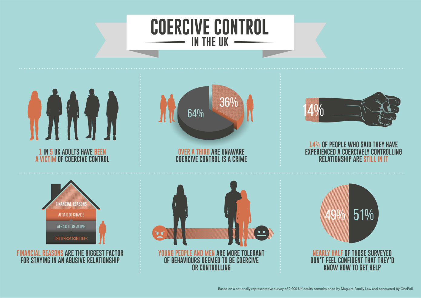 Understanding Coercive Control: What Our Research Shows | Maguire ...