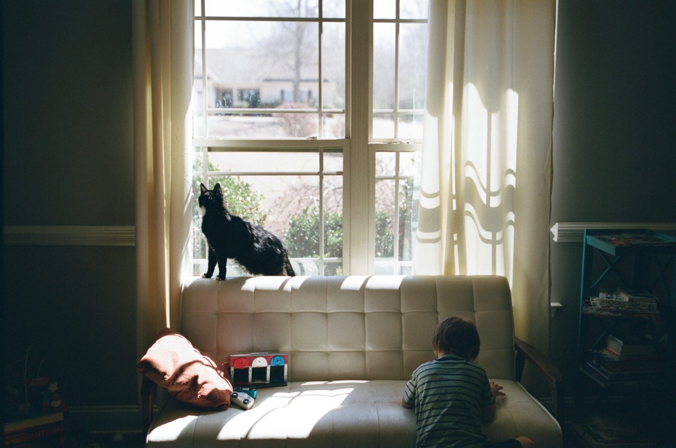 Protecting Children from Abusers and Ending the Presumption of Parental ...